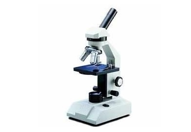 Top B2B Portal | Business Directory | Indian Exporters | India