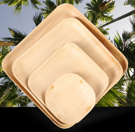 BOLLANT INDUSTRIES PVT LTD, DISPOSABLE PLATES MANUFACTURERS & SUPPLIERS ...